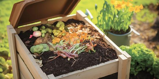 Compostage et valorisation des déchets alimentaires et de jardin ...